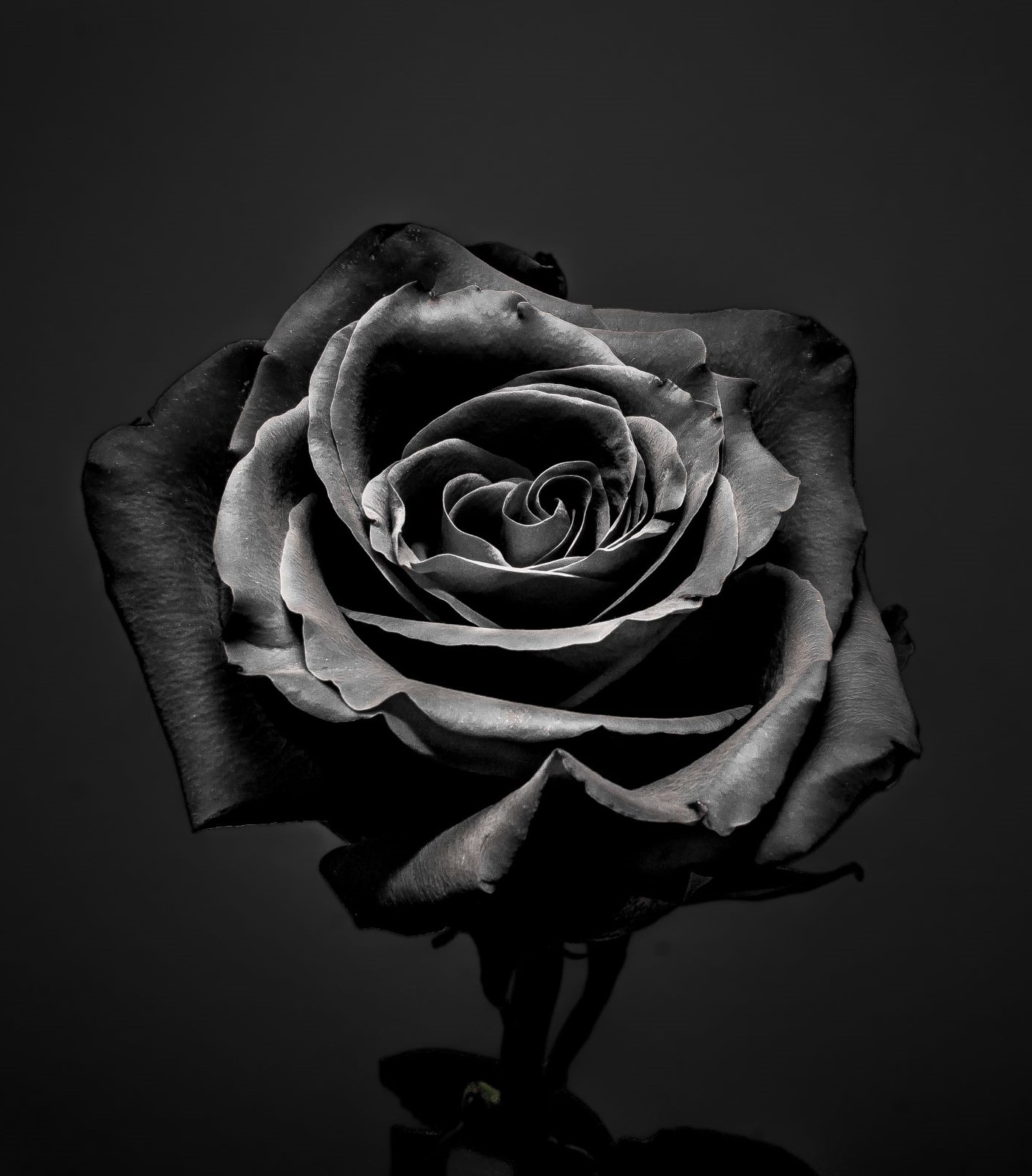 Get in the October Spirit with These Extra-Scary Flowers - Breens Florist