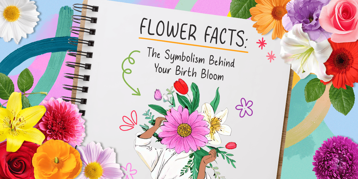 The Beautiful History of Birth Flowers -- A Fun & Symbolic Birthday ...