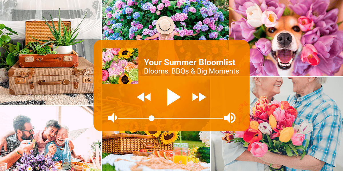 Bloom Big This Sumer! Tips for a Season That Flourishes - Breens Florist